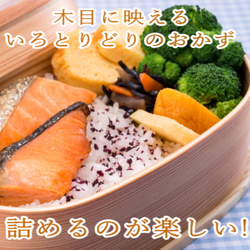 Japanese Bento Box Lunch Container Wooden MageWappa Mt.Fuji and Sakura ...