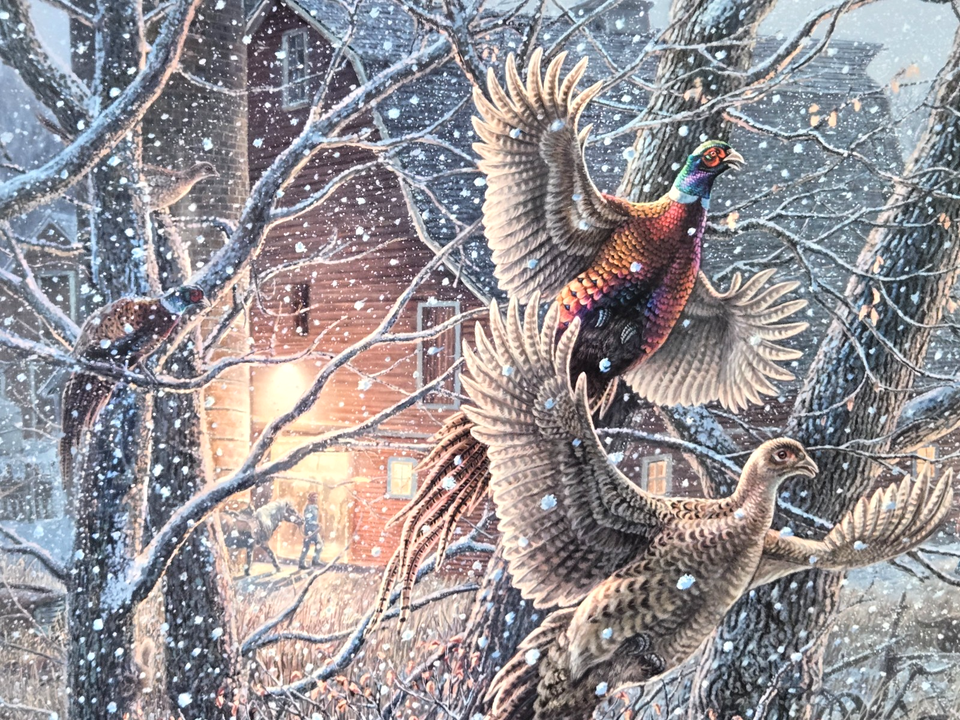 Storm Break signed numbered print by James Meger, Pheasants Forever ...