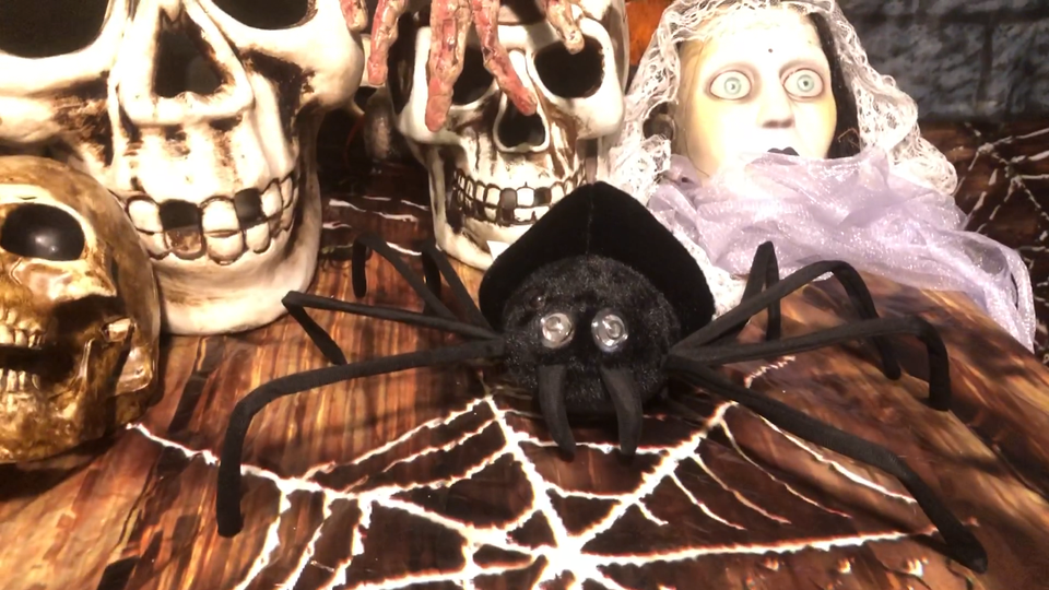 TRICK-OR-TREATER GREETER Halloween 18" screaming spider animated web ...