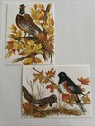 Vintage John Cornacchio Bird Art (2) Blank Notecards Towhee Ring Necked ...