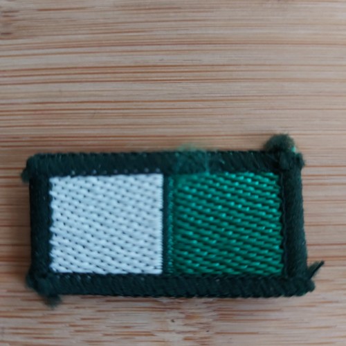 UK Scouting 1970's Scout Patrol Badge Flash Peewit | eBay