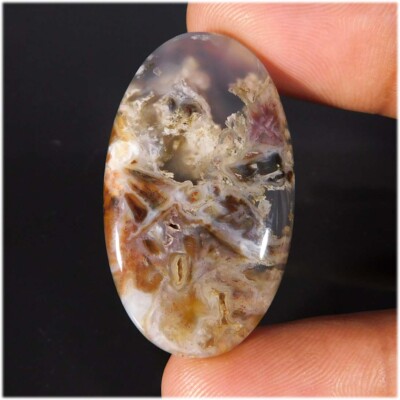 38.60Cts. Natural Unique Pseudomorph Stick Agate Oval Cabochon Loose Gemstone | eBay