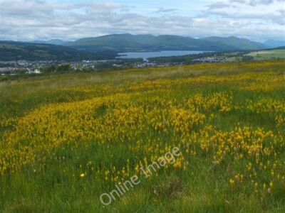 Photo 6x4 Grassland near Nobleston Wood Alexandria In Pappert Well ...