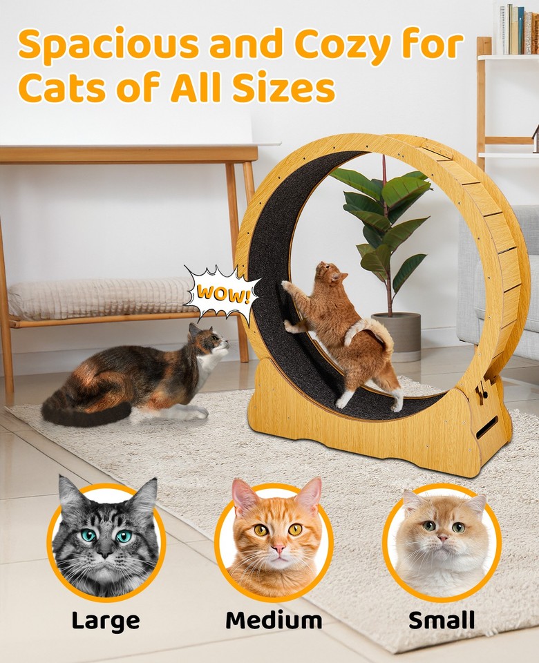 Cat Wheel Exerciser for Indoor Cats, 39.4-inch Large Cat Exercise Wheel ...