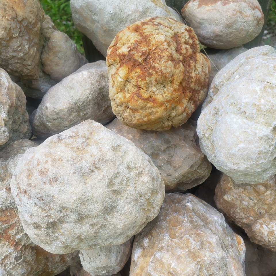 15 lbs Unopened Kentucky Geodes – Natural Quartz Crystals, Collectors ...