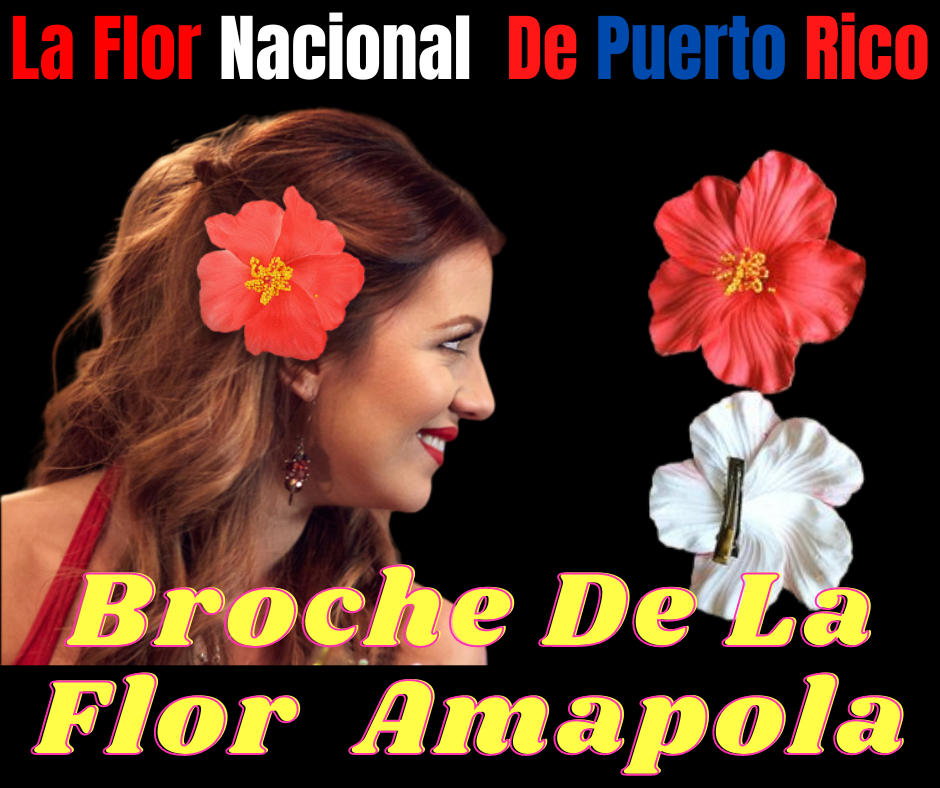 Traje Típico Jíbara Boricua 3PC Blanco Set - Blusa y Falda Bandera ...