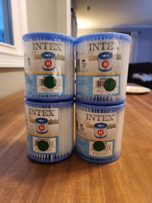 Intex Type H Filter Cartridge 842372180931| eBay