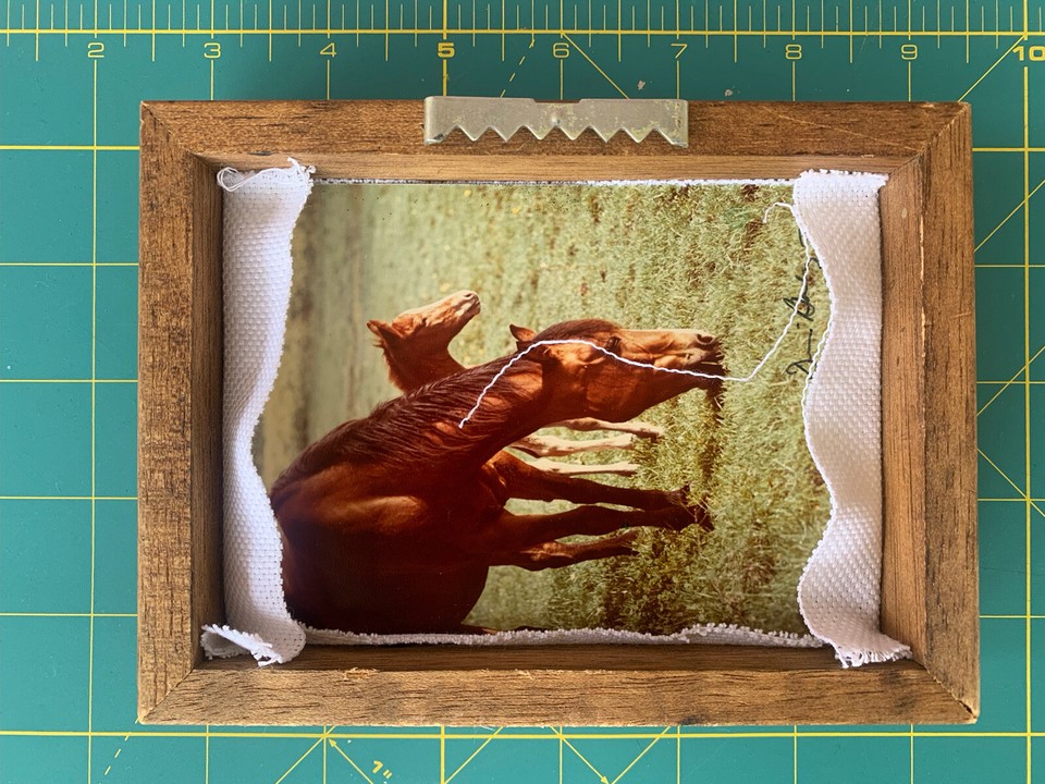 Beatrix Potter Cross Stitch, Buttons: Miss Moppet, Peter Rabbit, Tom ...