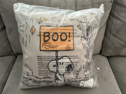 Pottery Barn Halloween Peanuts Snoopy Indoor/Outdoor Boo Pillow, NWT | eBay