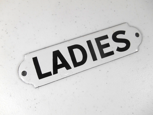 Original Vintage Reclaimed Ladies Women's Loo Toilet WC Metal Door ...