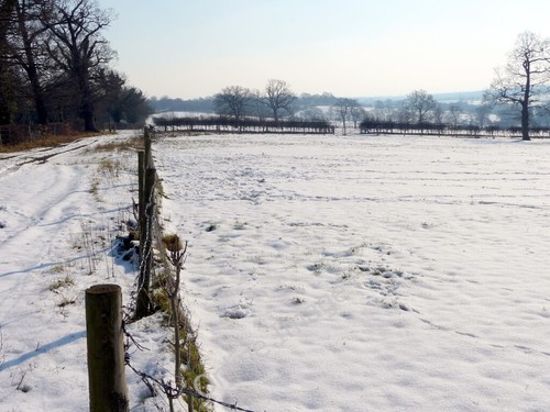Photo 6x4 Farmland, Botany Bay, The Ridgeway, Enfield Botany Bay ...