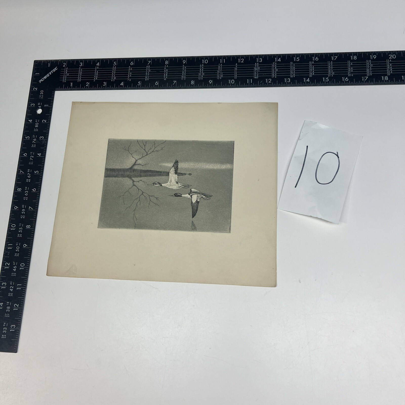 ART PAPER ETCHING PHOTO PRINT Edward Bierly Federal Duck Stamp ...