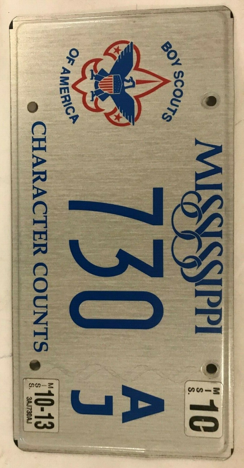 BOY GIRL SCOUT license plate Scouting Troop Camp Jamboree BSA Baden ...