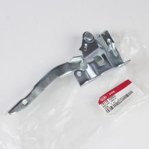 Genuine OEM Kia Left Hand Hood Hinge Assembly 79110-1D000 | eBay