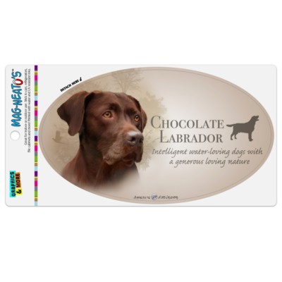 Chocolate Lab Labrador Dog Breed Car Euro Oval Magnet | eBay