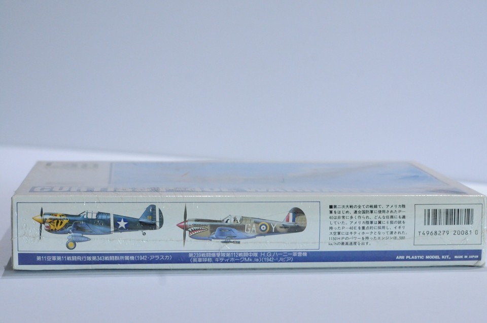 ARII CURTISS P-40E WARHAWK SCALE 1:48 PLASTIC MODEL KIT NEW | eBay