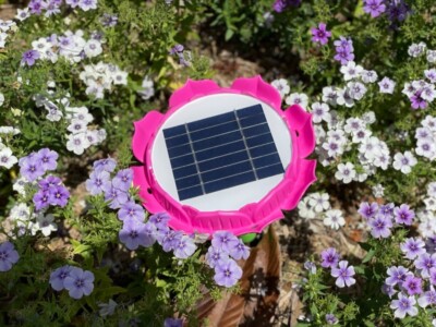 CharitySale- Solar outdoor Buddhist Chanting Machine/Buddha Machine 6.5 ...