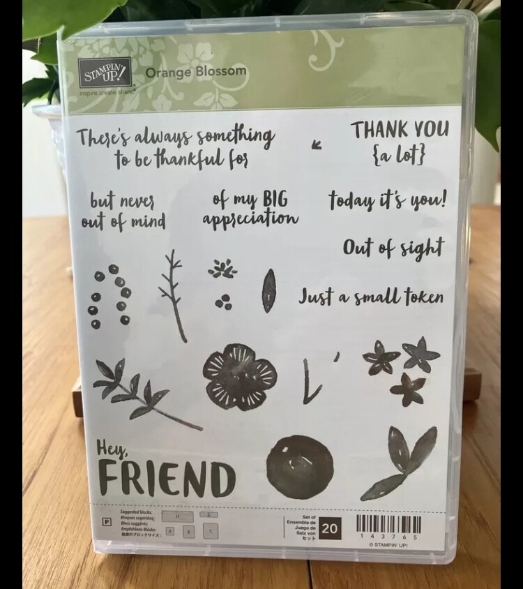 Stampin Up! Photopolymer Stamp Sets, Various Themes - You Choose | eBay