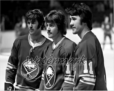 Buffalo Sabres French Connection Line Robert Martin Perreault 8 X 10 ...