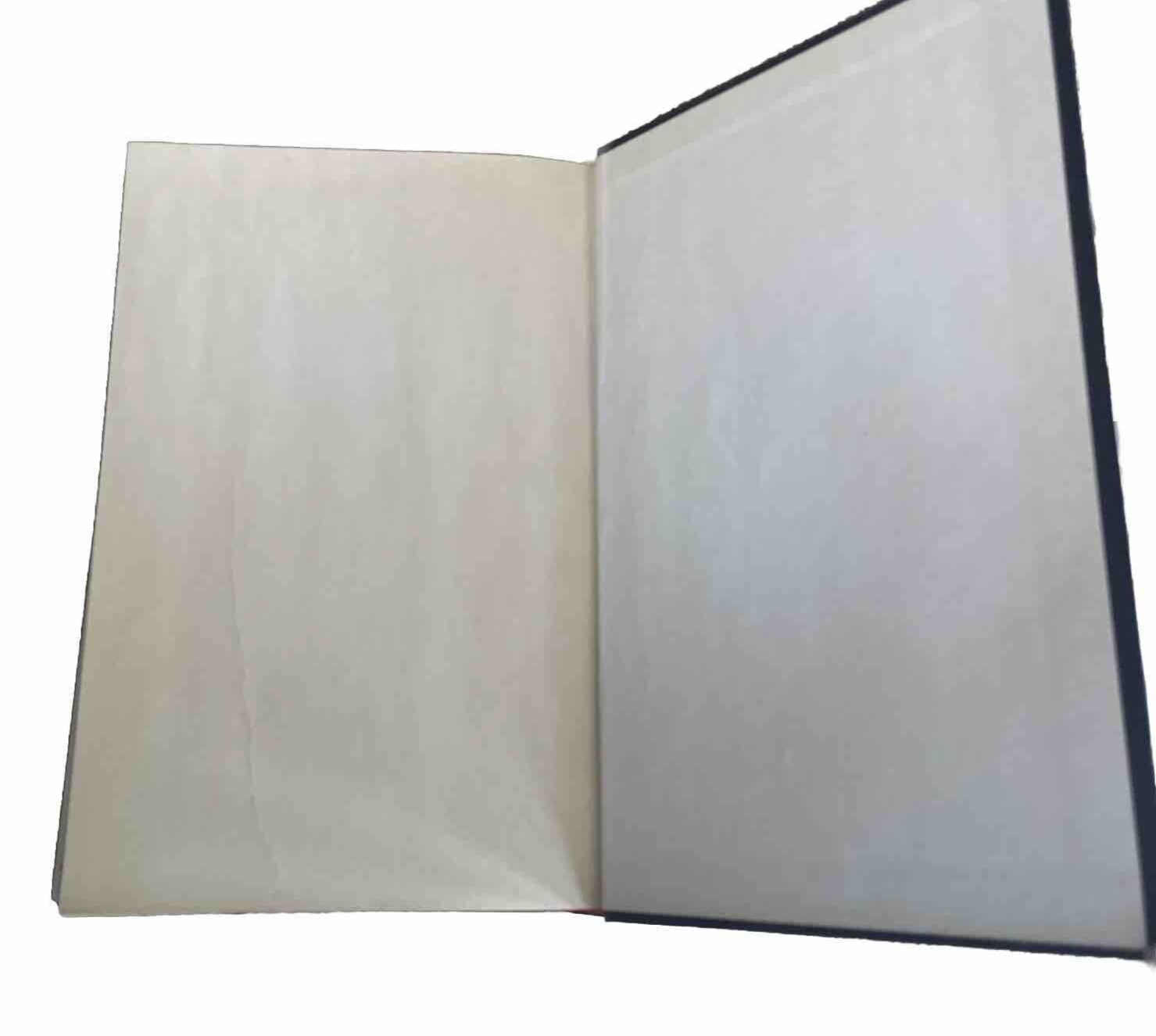 The Family Corleone By Ed Falco 1st Edition 1st Print HC/DJ Prequel ...