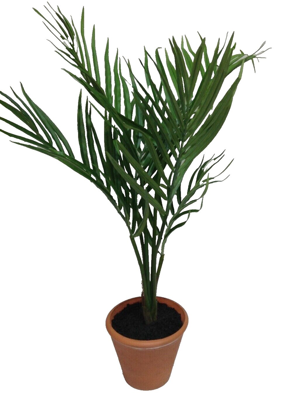 Pottery Barn Faux Plants | eBay