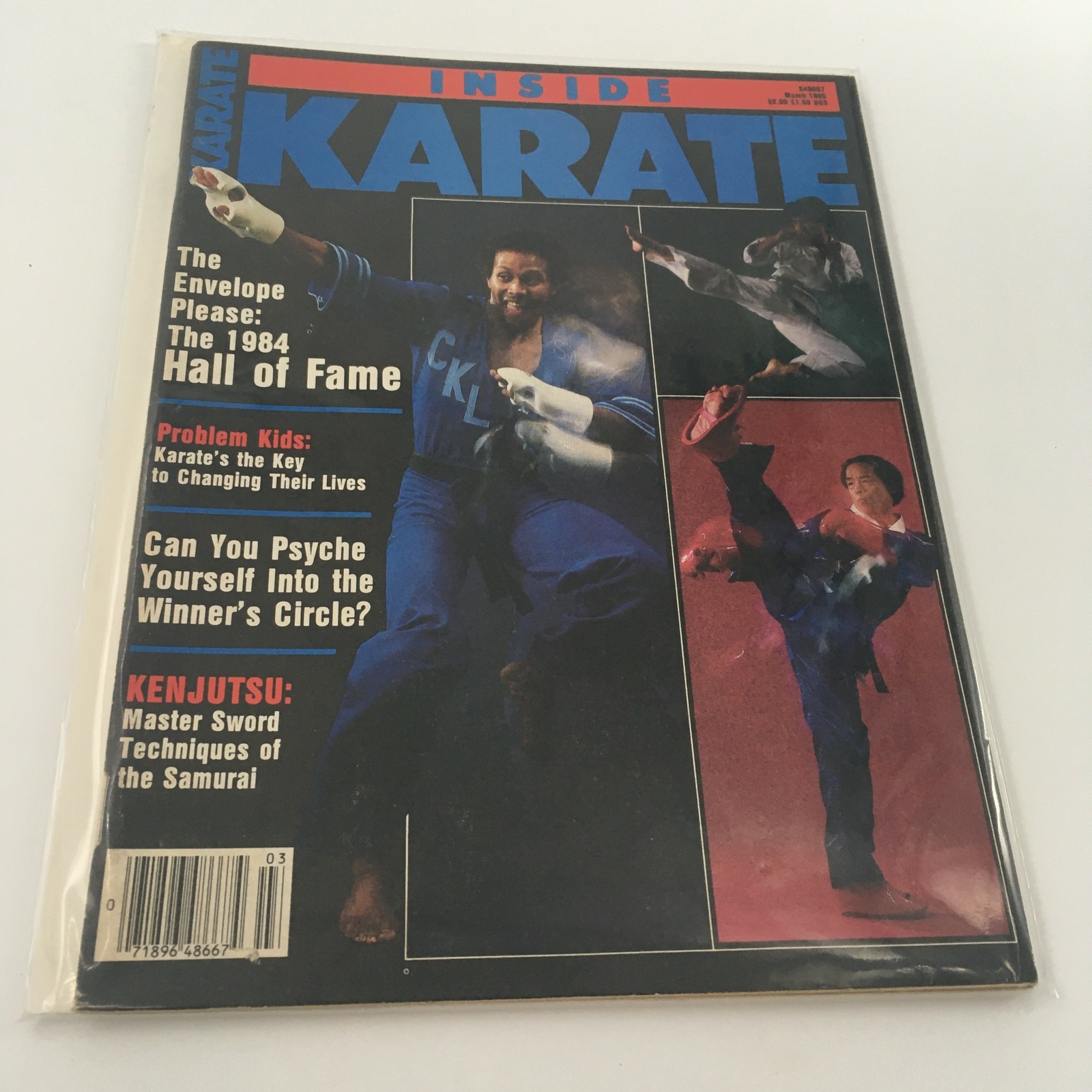VTG Inside Karate Magazine March 1985 Steve Anderson Kenjutsu Feature ...