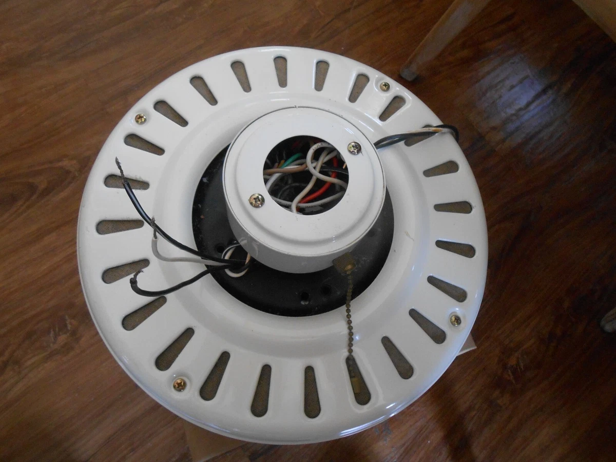 Hunter Ceiling Fan Motor Replacement | Shelly Lighting