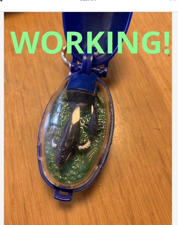 takara pocket critters keychain whales working | eBay