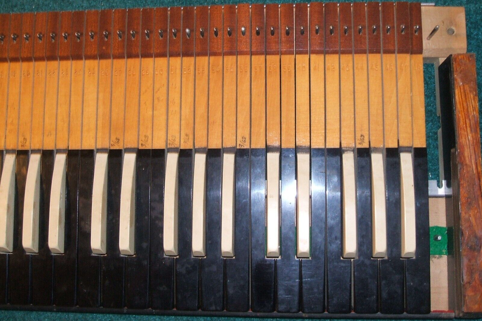 Vox JMI V301J Continental Organ Wooden Key - Type B - Choose 1 - Most ...