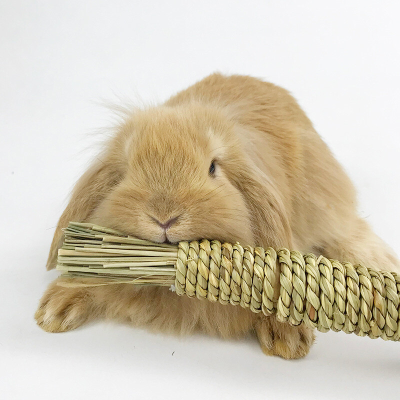 Rabbit Chew Toys Grass Woven Natural Rabbit Chew Carrot Rabbit Chew ...