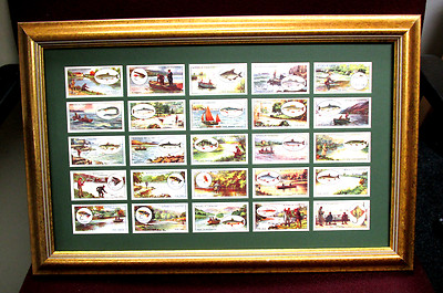 Vintage 1928 ANGLING -25 Fishing Fish Trade Cards 65th Anv. Framed Full ...
