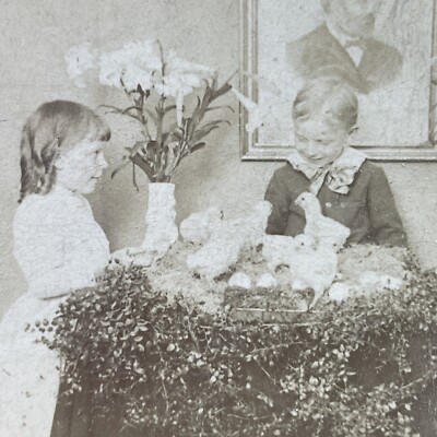 Antique 1892 Children Play With Chicks On Easter Stereoview Photo Card ...