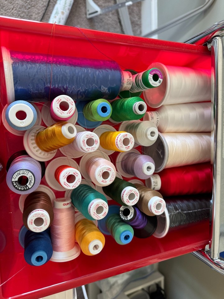 Brother PR1000E Entrepreneur Pro 10 Needle Embroidery Machine | eBay