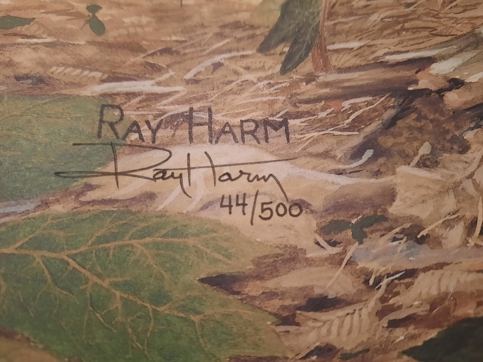 RAY HARM WILD TURKEY-3 BIRDS-$425.00 VALUE-$200 OFF-#42 OF 500 ...