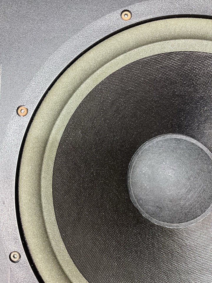 Pair Of Vintage American Acoustics Model D5550E 10” Woofer 232 Watts | eBay