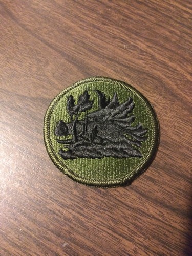 US Army Georgia Army National Guard SD Patch | eBay