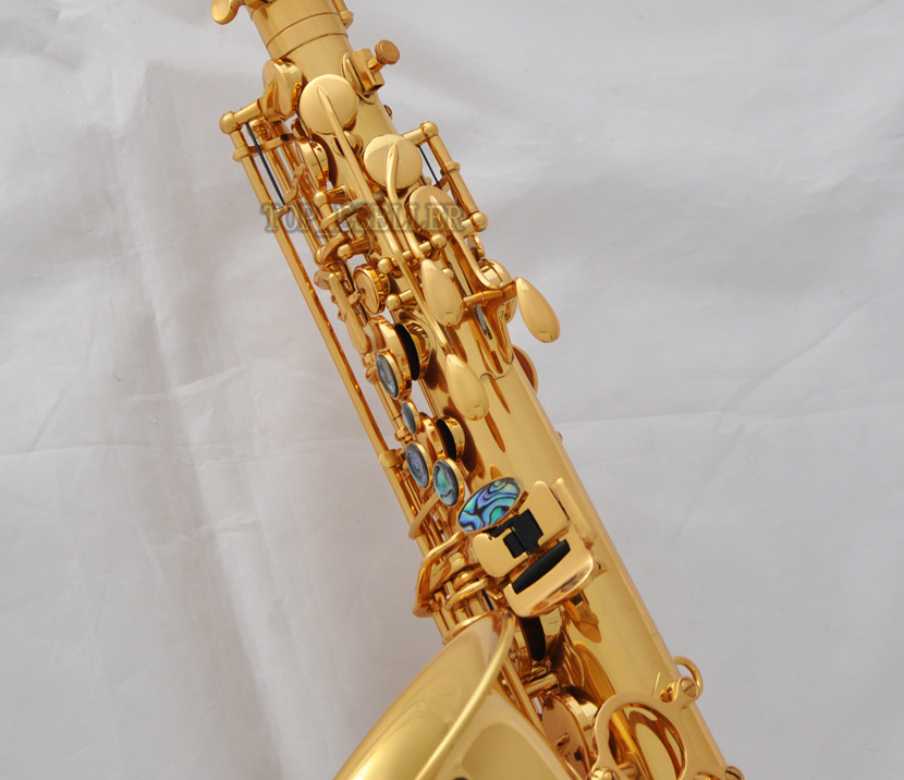 Professional Gold Alto Saxophone Eb Abalone Key sax High F# Double bars ...