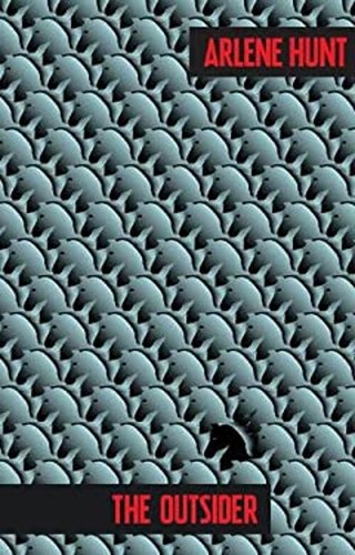 The Outsider Paperback Arlene Hunt 9781909255067| eBay