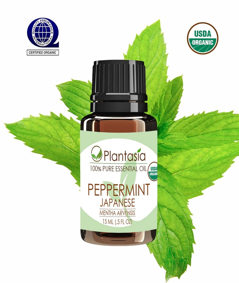 Peppermint Japan Organic Essential Oil 100% Pure Therapeutic India by ...