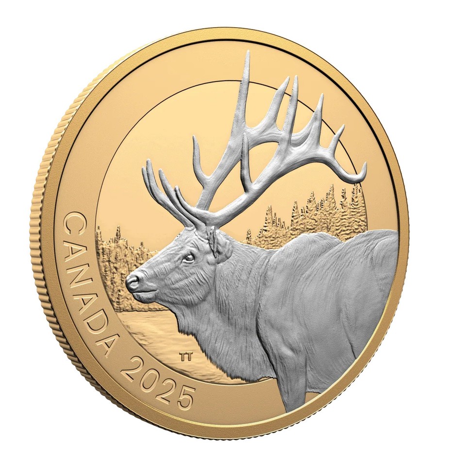2025 Canada Animal Portraits Elk 1 oz Silver Gilded Proof Coin NGC PF ...