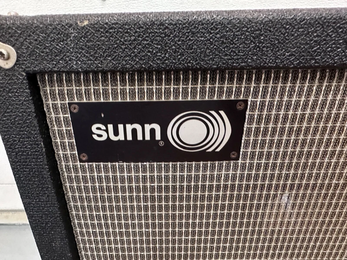 Sunn 2×15 Bass Cabinet | Cabinets Matttroy