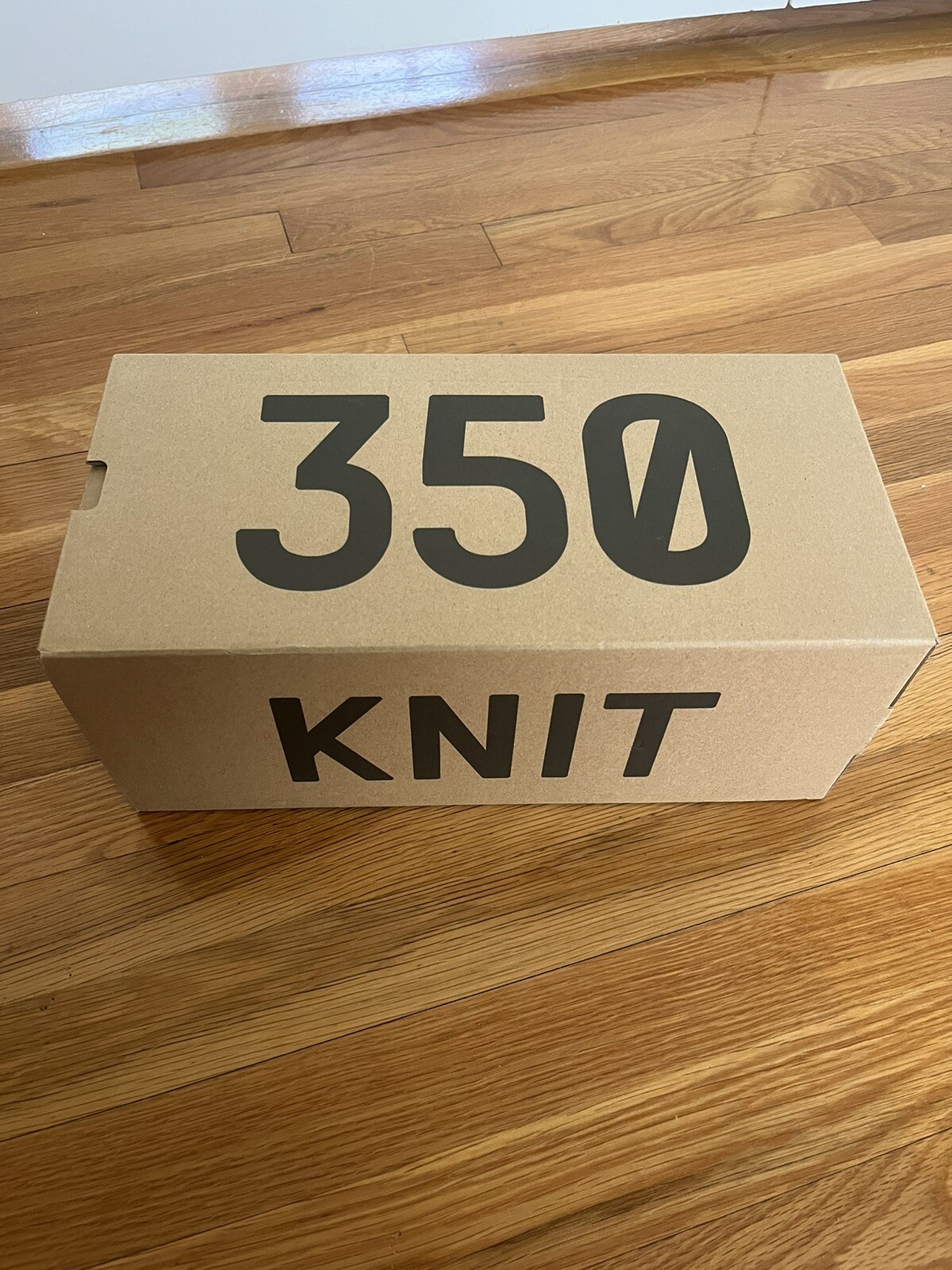 Yeezy 350 V2 Compact Slate White Size 12 Brand New Dead Stock