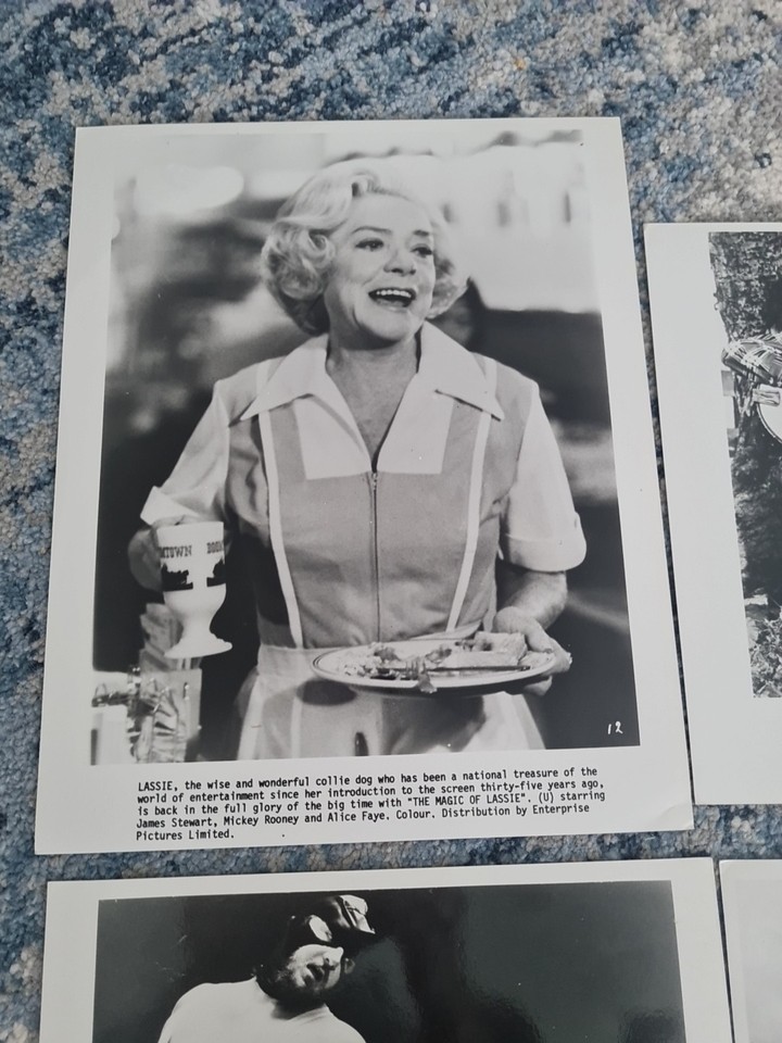 Lassie film stills lobby cards UK glossy x 4 | eBay UK