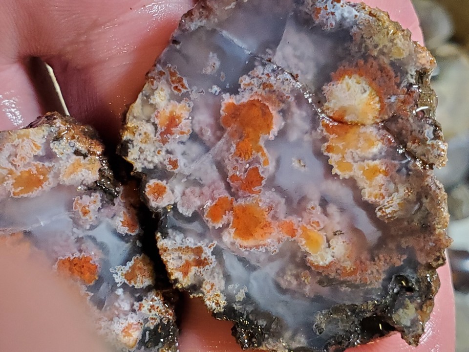 RAREST AGATE ON EBAY Bouquet PLUME Agate San Carlos Chihuahua Laguna ...
