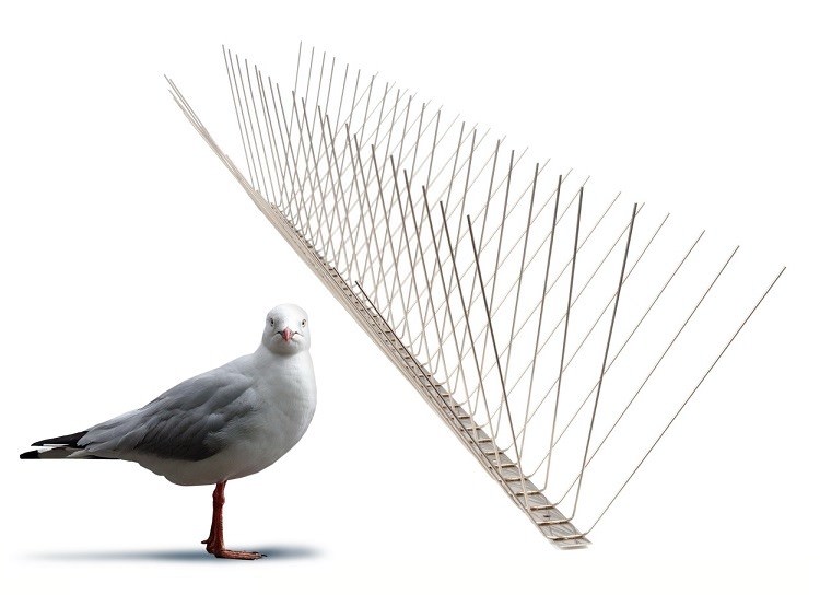 SEAGULL SPIKES WIDE - 1 Metre - 100% 304 Stainless Steel Bird Deterrent ...