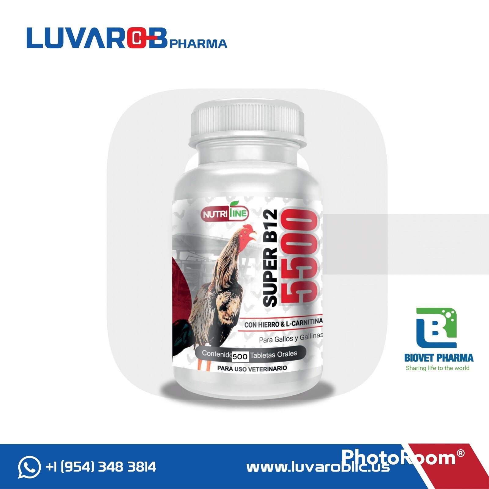 SUPER B12 5500 500 TAB BOOSTER FOR ROOSTER VITAMINA PARA GALLOS POLLOS ...