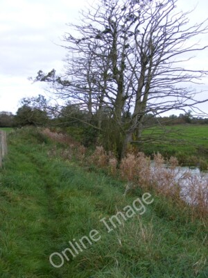 Photo 6x4 Footpath and drainage channel Earsham A signposted footpath ...