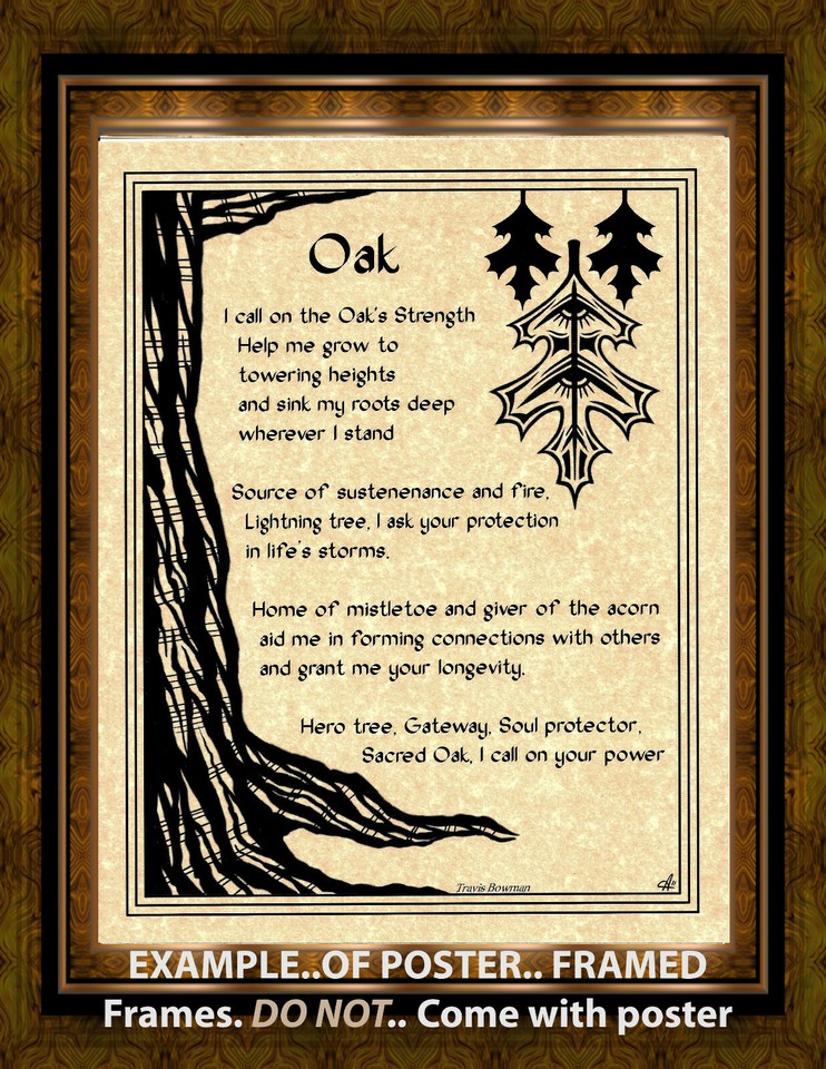 OAK Tree Nature Stength Prayer Pagan Wicca Book of Shadow Poster Page 8 ...