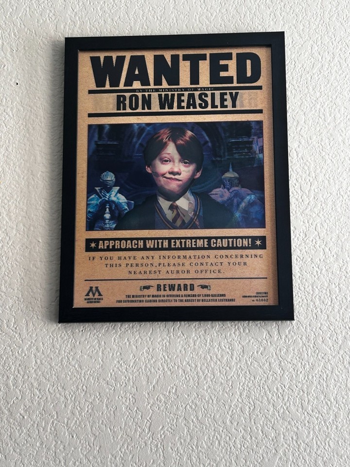 3D Motion Effect Lenticular Art Poster- Harry Potter Home Decoration ...