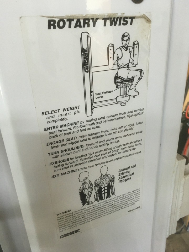 Hoggan Camstar Rotary Twist oblique exercise machine. GC, Free delivery ...